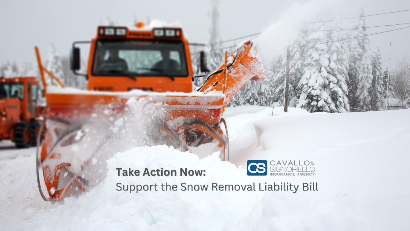 Take Action Now: Support the Snow Removal Liability Bill for a Safer ...