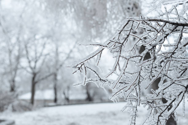 Is Your Auto Insurance Enough for Winter Weather Accidents? | C&S Insurance